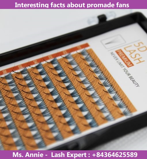 Facts you should know about promade fans - Kwin Lashes