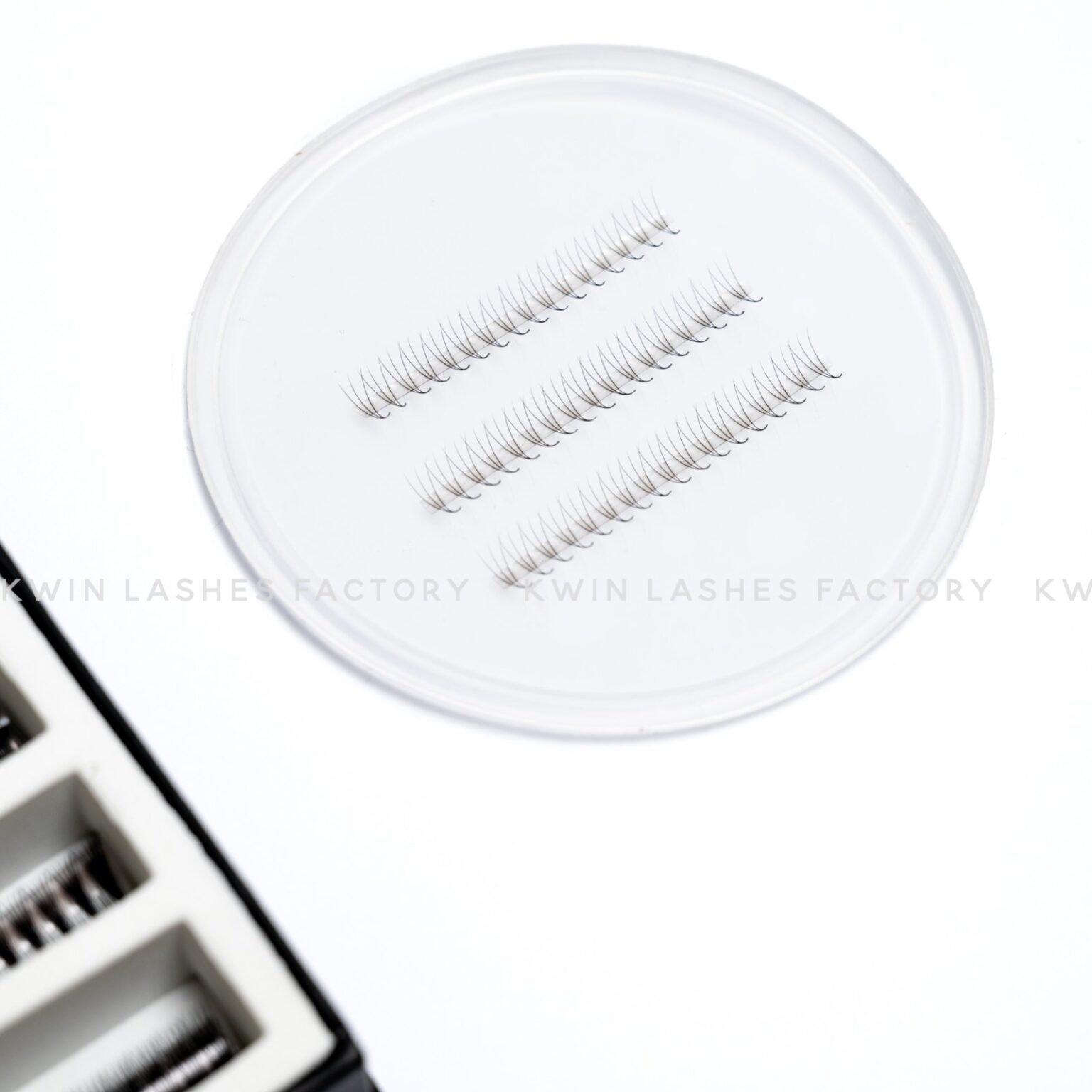 3D Narrow Fan Rapid Promade (Loose Strip Fan) - Kwin Lashes