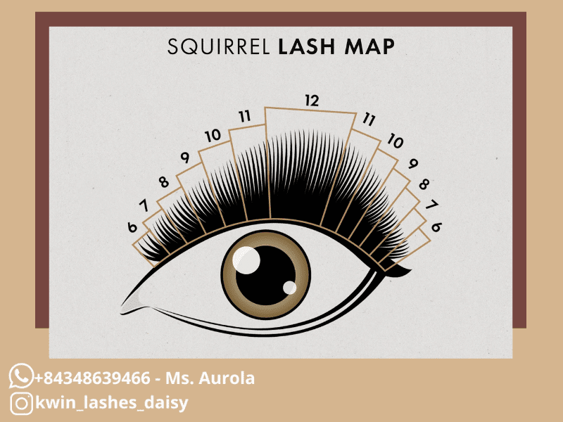 A Quick Guide To Volume Lash Mapping You Should Not Ignore