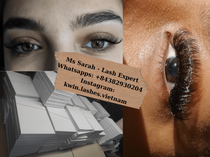 Create Cat Eye Lash Map For Beginners-Eyelash Instruction - Kwin Lashes