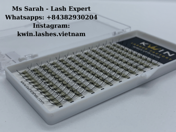 Create Cat Eye Lash Map For Beginners-Eyelash Instruction - Kwin Lashes