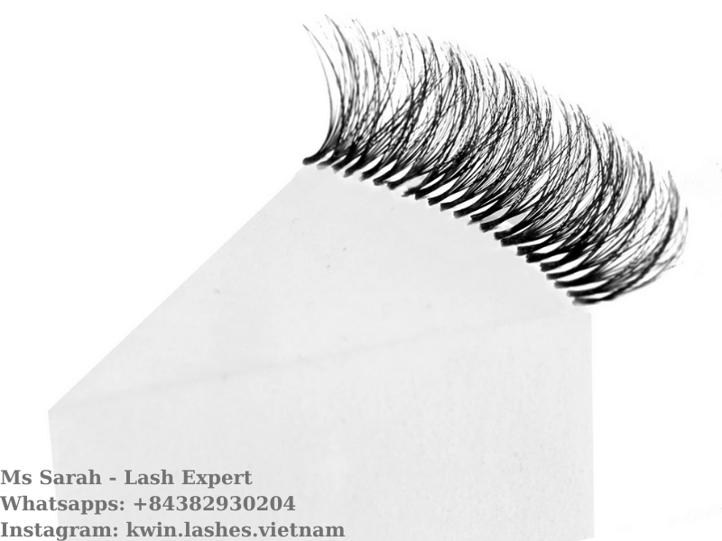 Create Cat Eye Lash Map For Beginners-Eyelash Instruction - Kwin Lashes