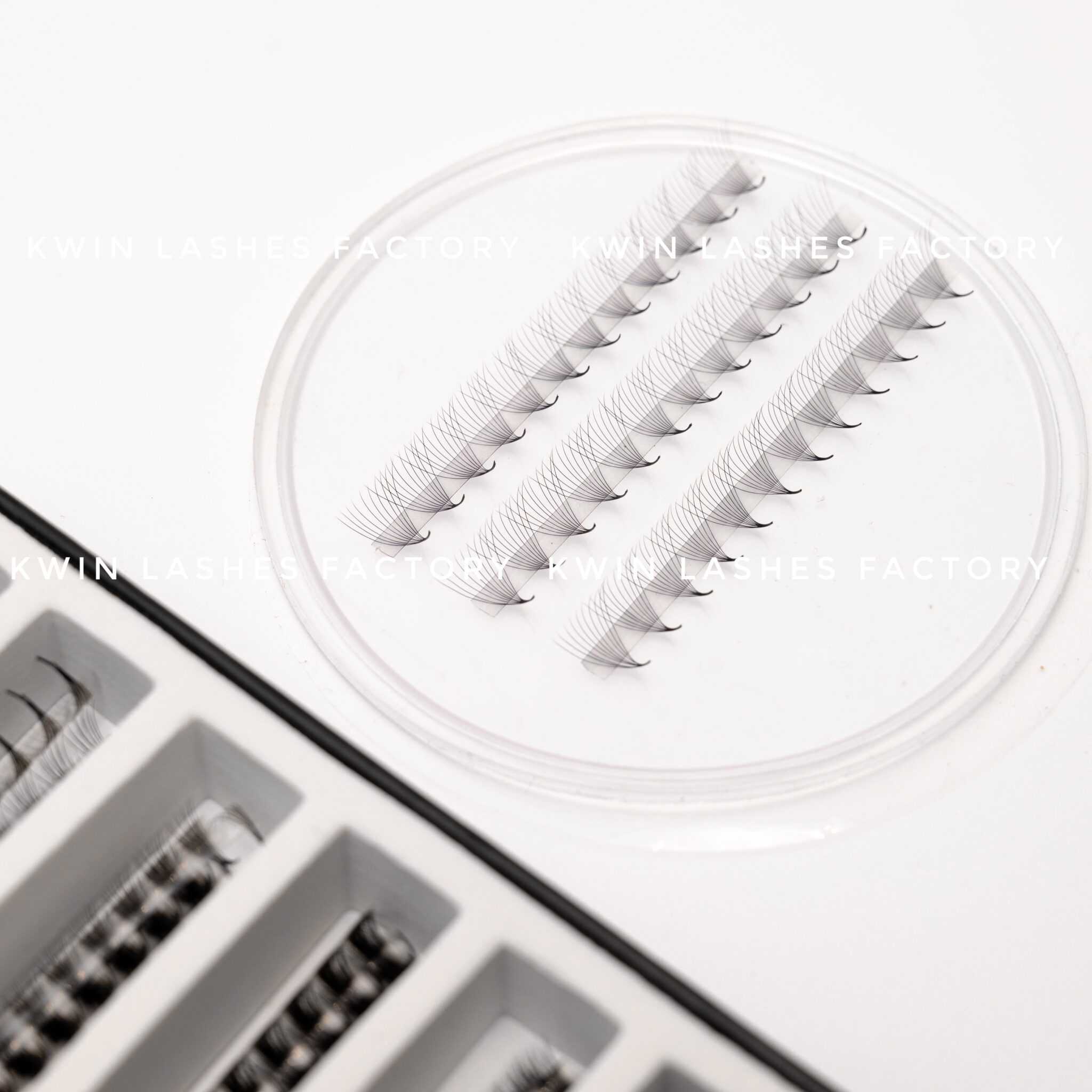 10D Rapid Promade Fan (Loose Strip Fan) - Kwin Lashes