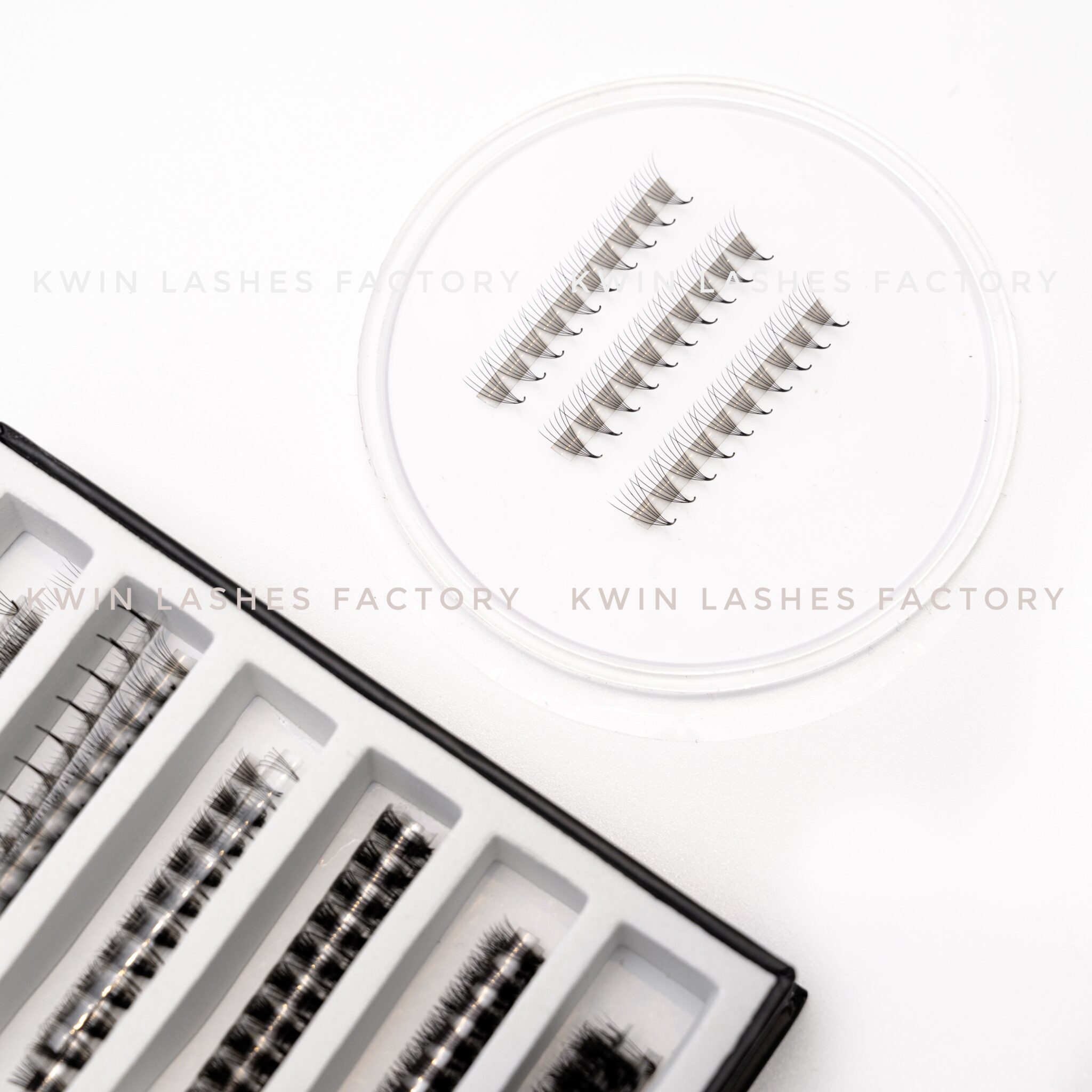 6D Narrow Loose Strip Premade fans - Kwin Lashes