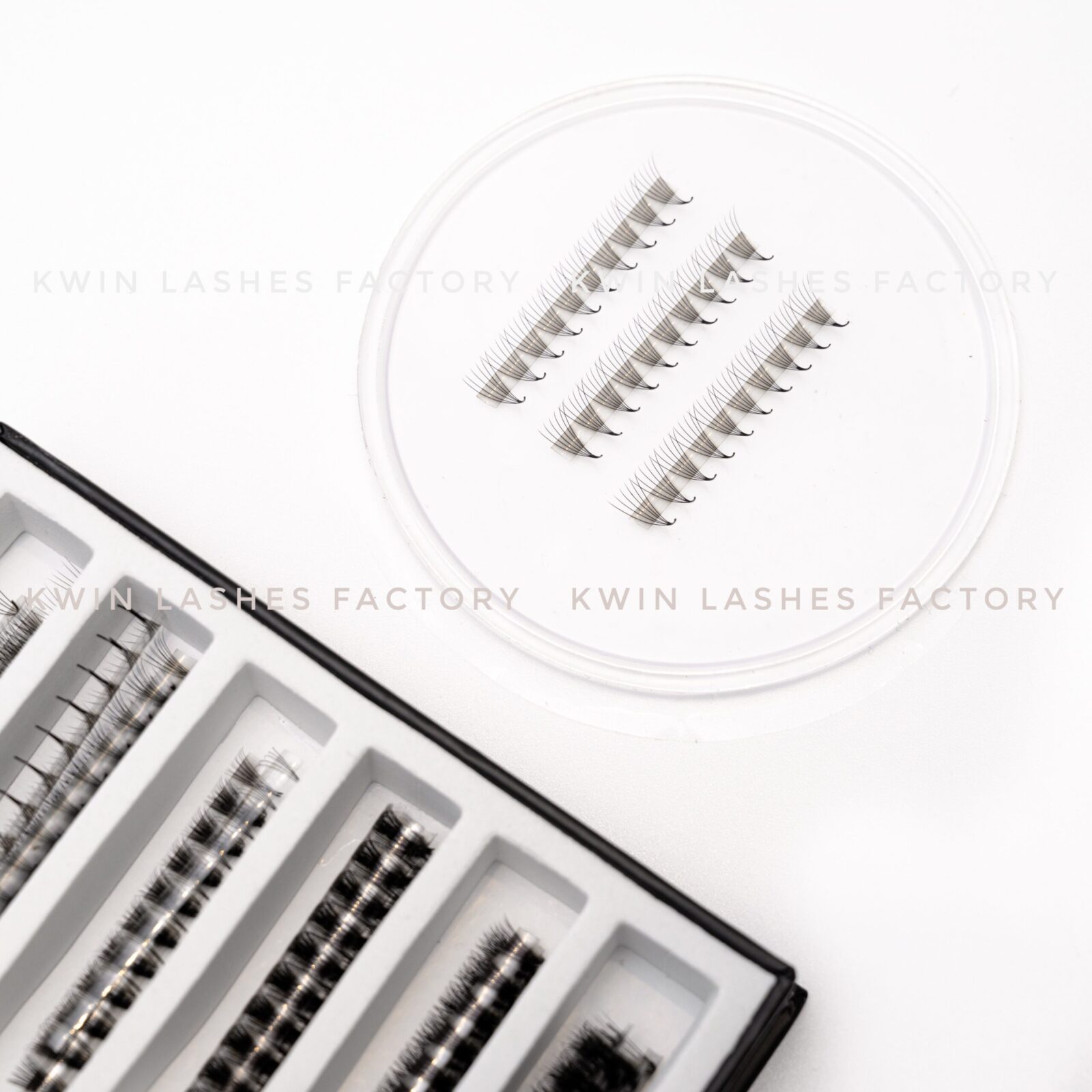 6D Narrow Loose Strip Premade fans - Kwin Lashes