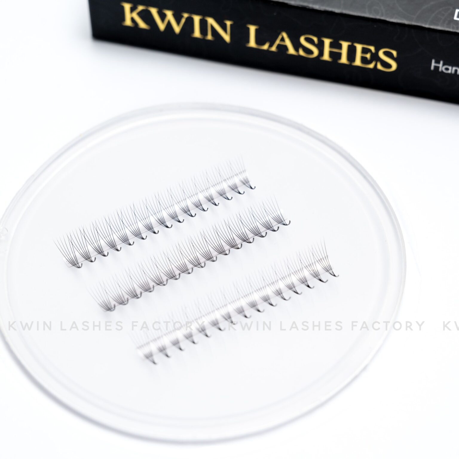 6D Narrow Fan Rapid Promade/ Loose Strip Fan - Kwin Lashes